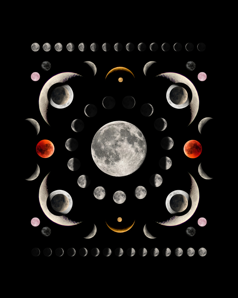 Volume II: Issue 1: Cycles | TGW Studio